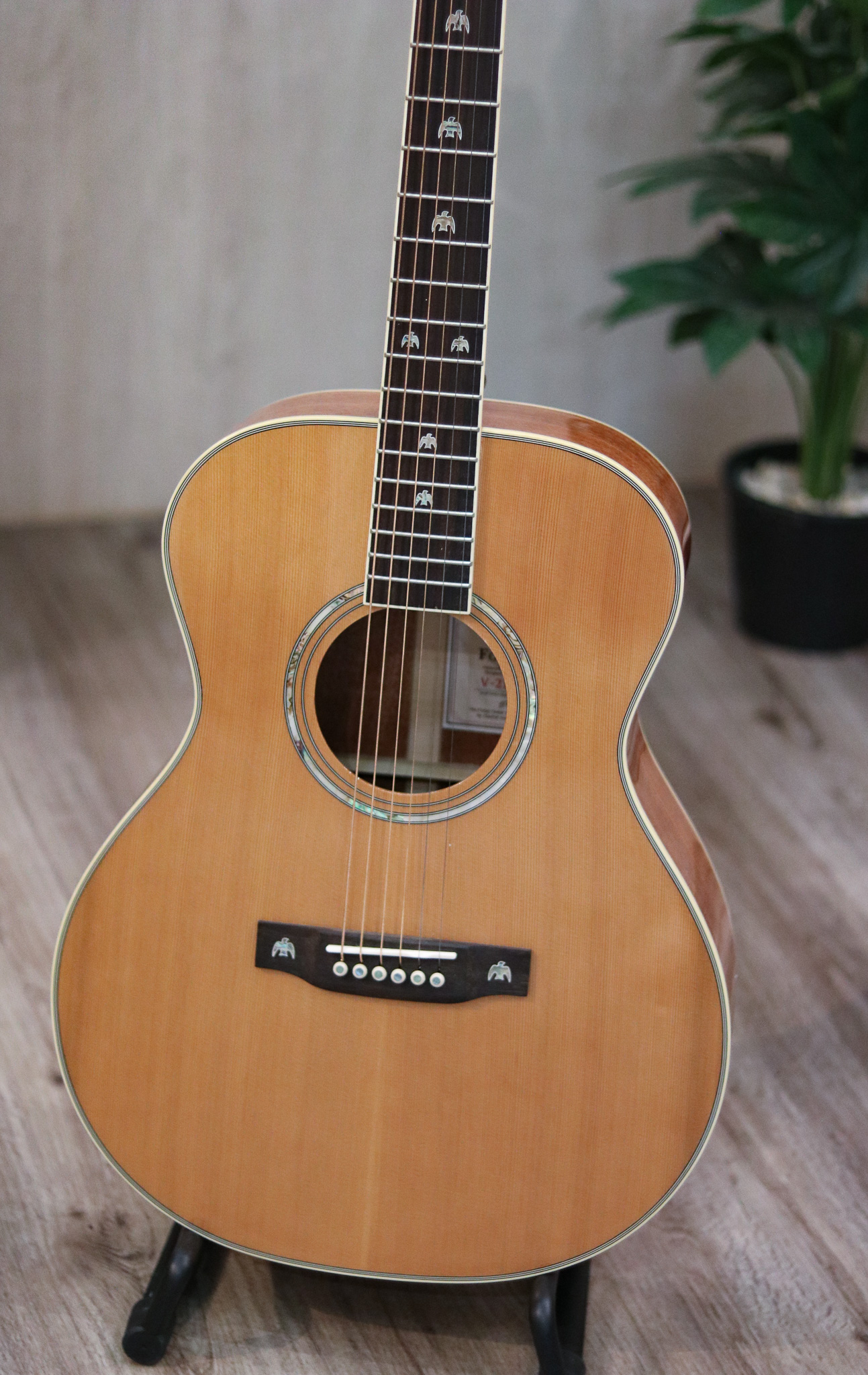 Fonzo Guitar