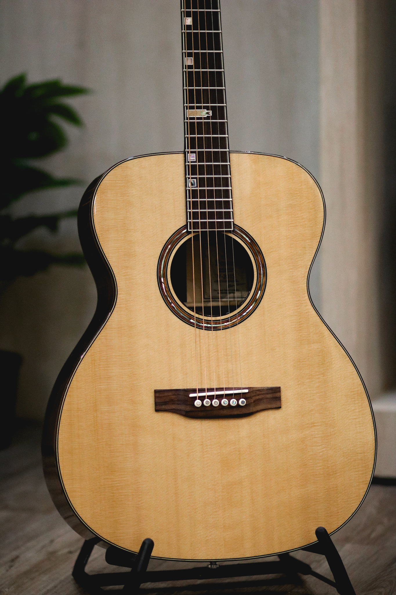 Fonzo Guitar