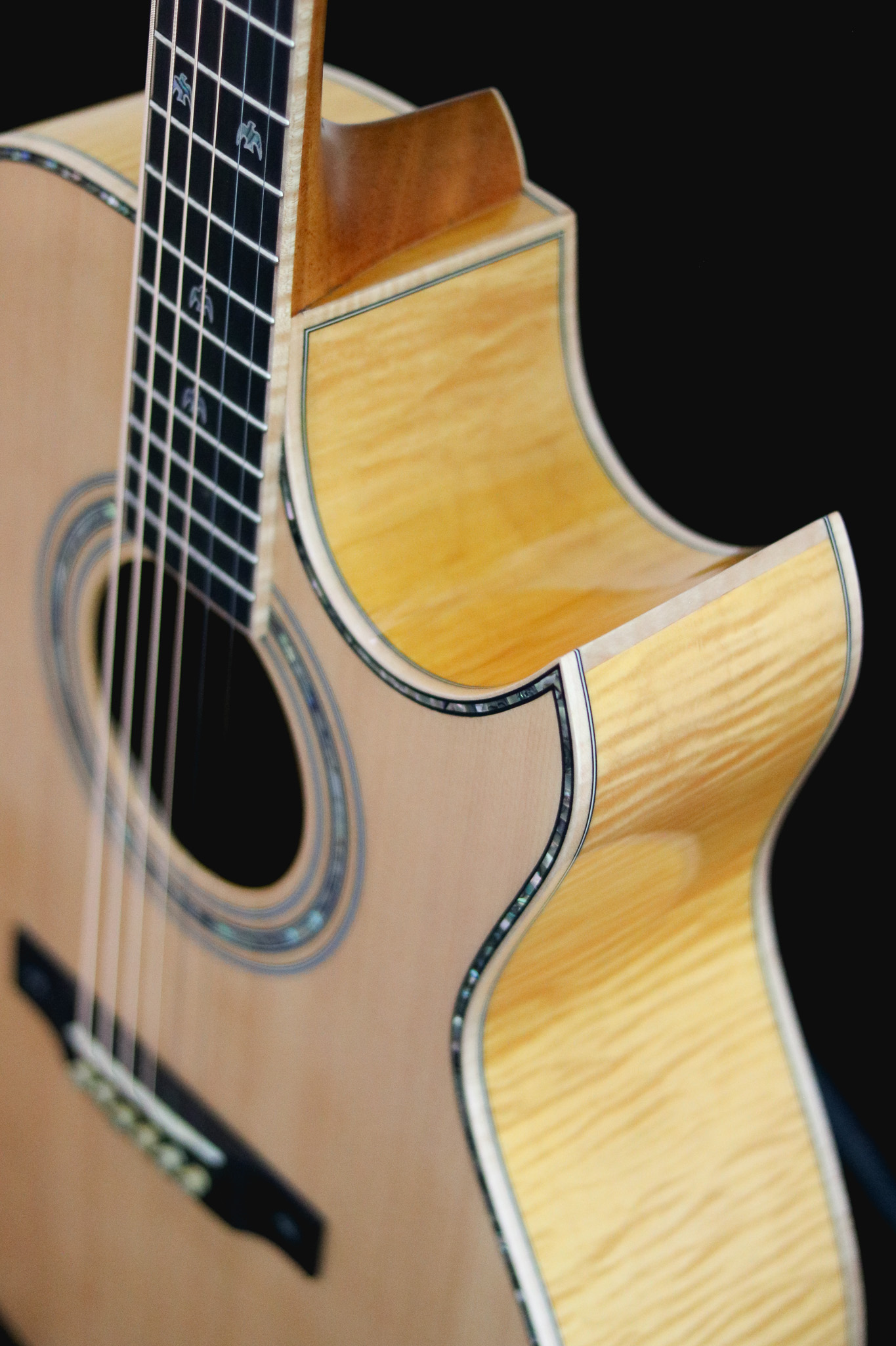 Fonzo Guitar