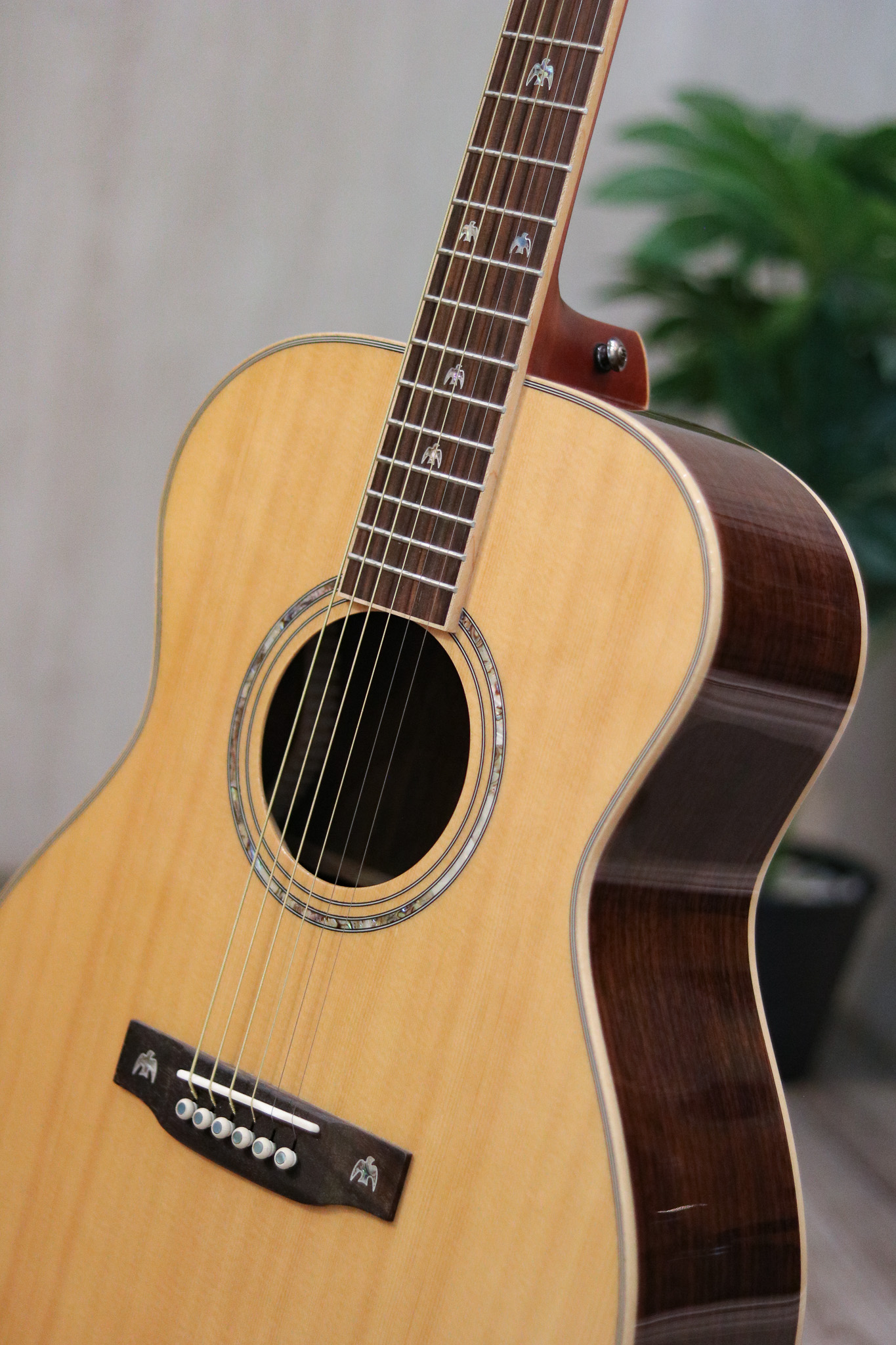 Fonzo Guitar