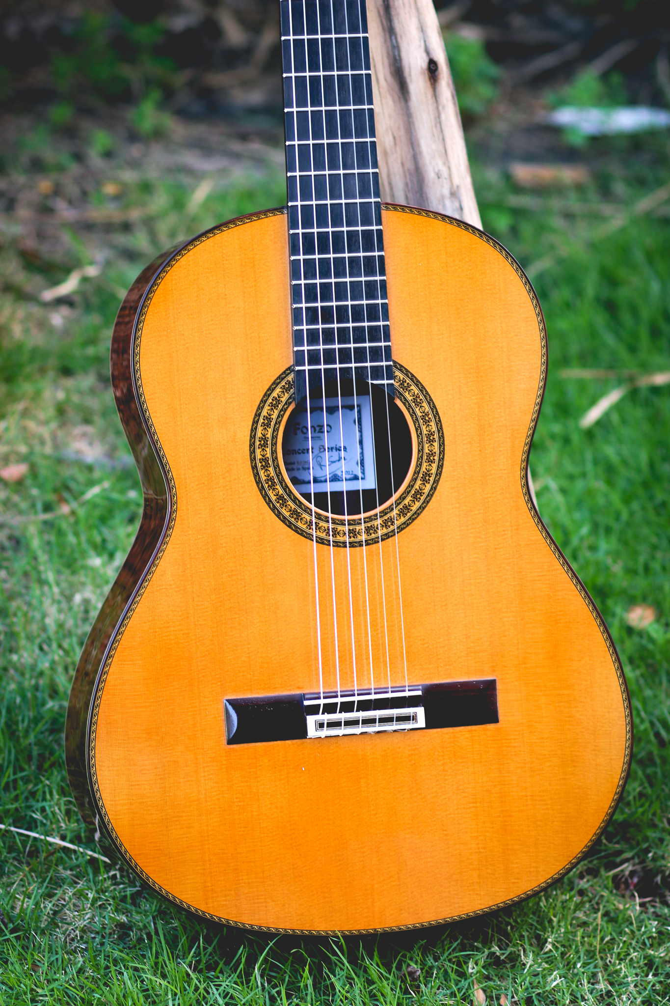 Fonzo Guitar